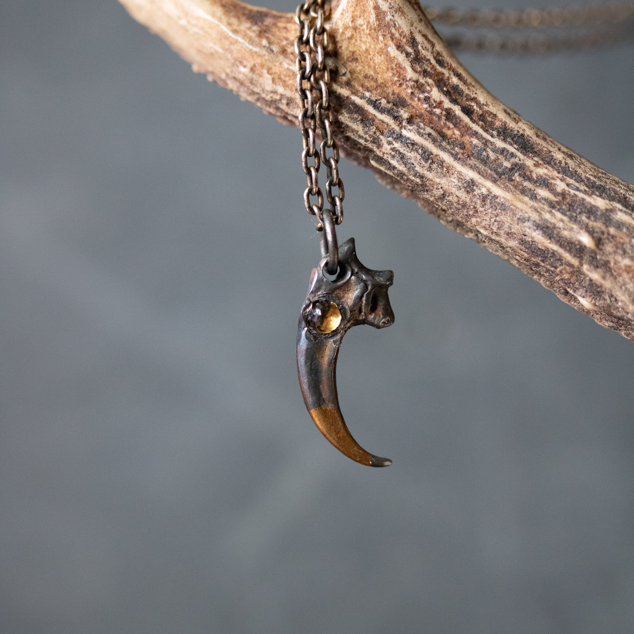 Peregrine Falcon Talon with Citrine Rose cut - Machinations